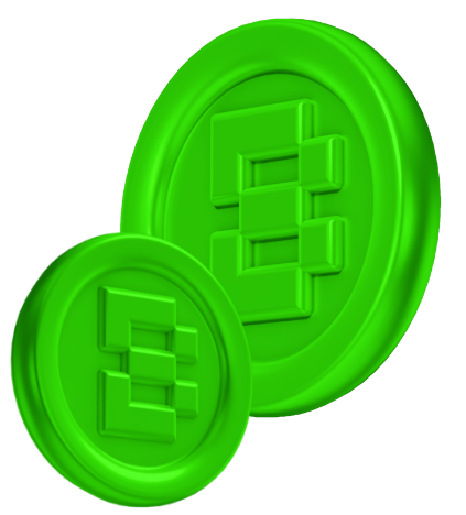 What we offer